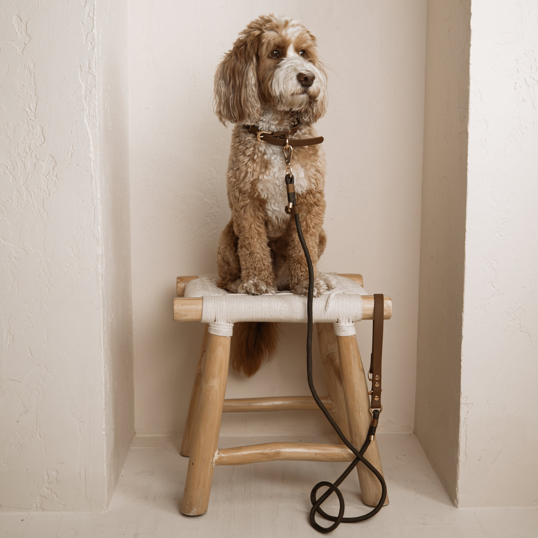 Forest Green Rope Dog Leash – Fenwick Pet Co.