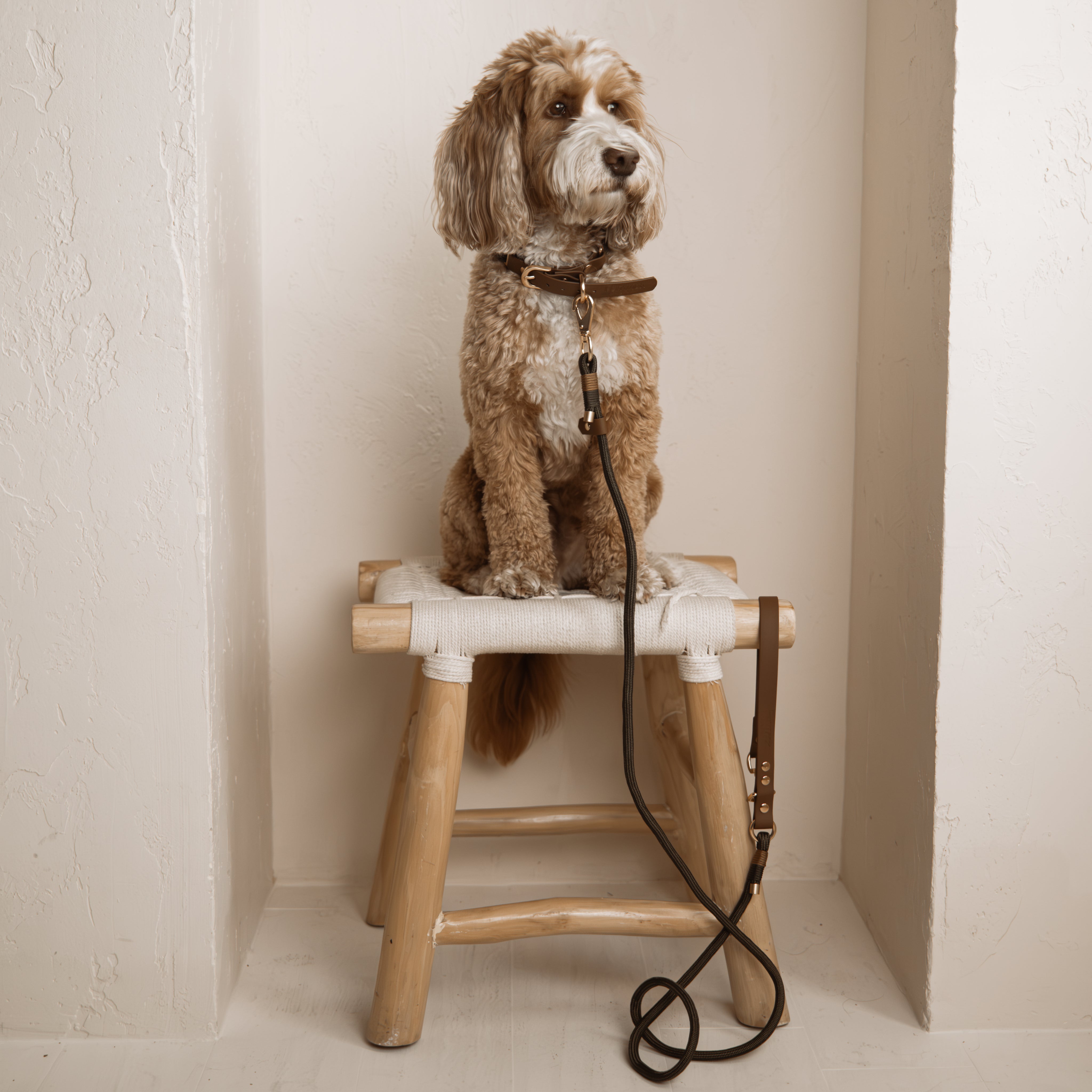 Forest Green Rope Dog Leash – Fenwick Pet Co.