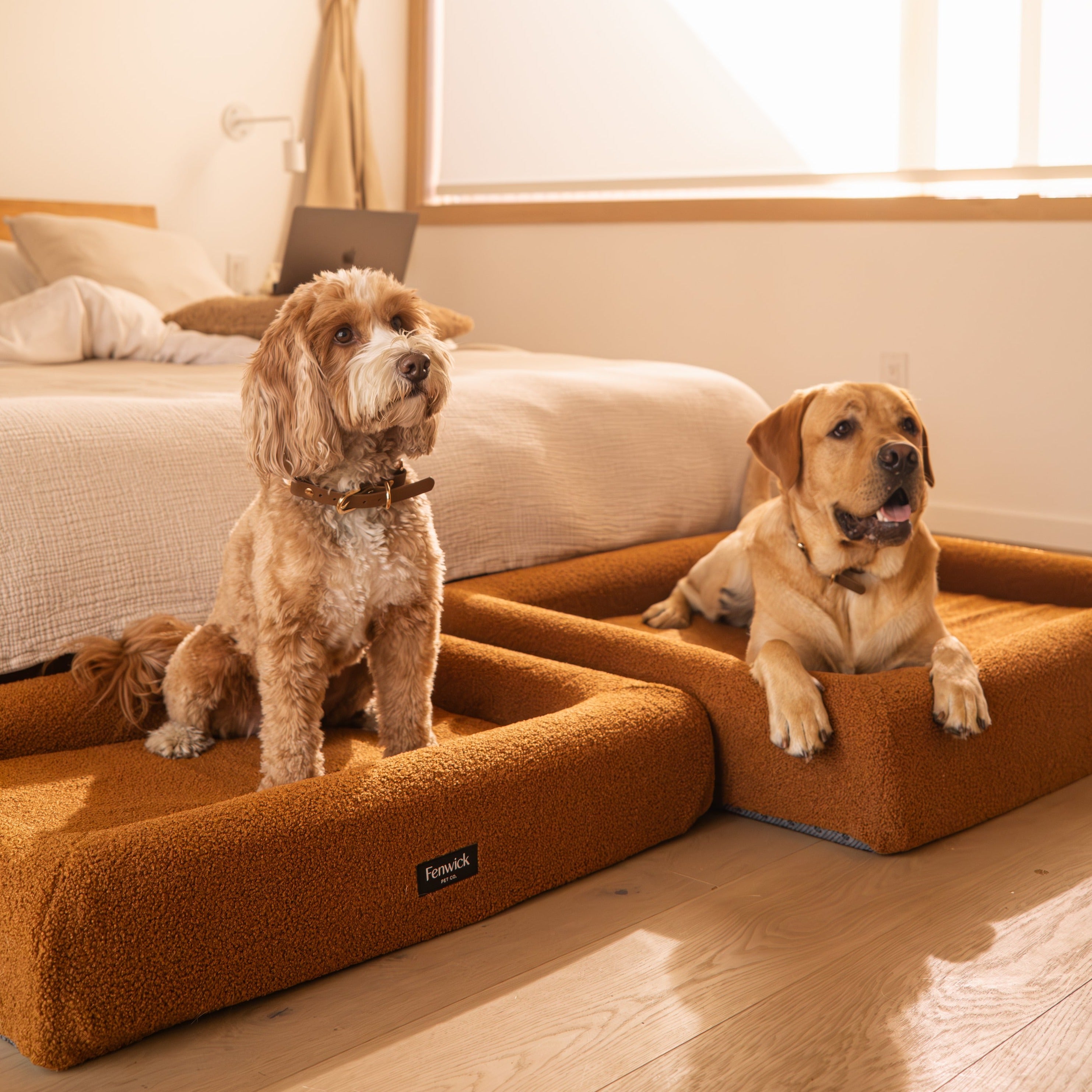 Luxury Orthopaedic Teddy Dog Bed – Ultra Soft & Washable – Fenwick Pet Co.