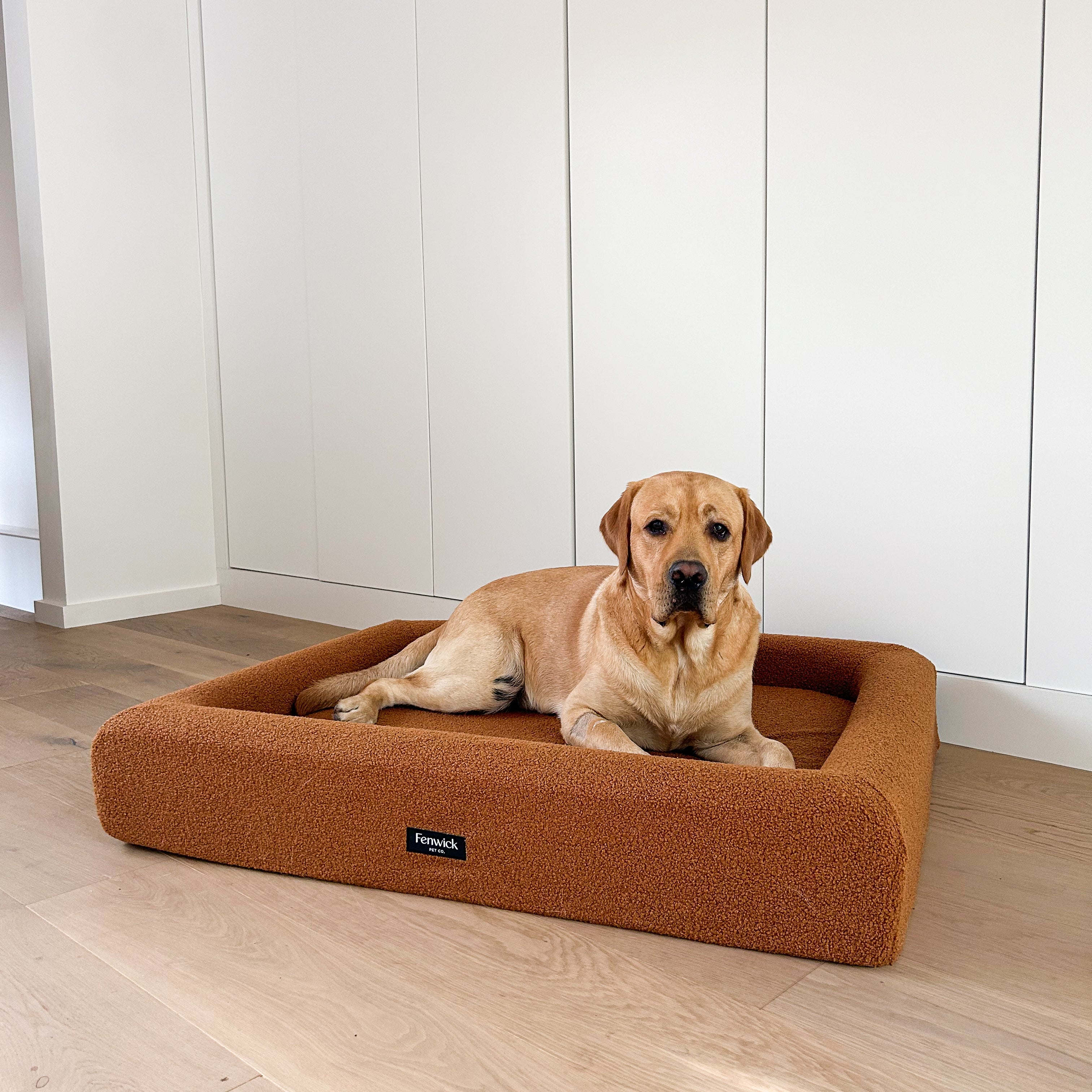 Luxury Orthopaedic Teddy Dog Bed – Ultra Soft & Washable – Fenwick Pet Co.