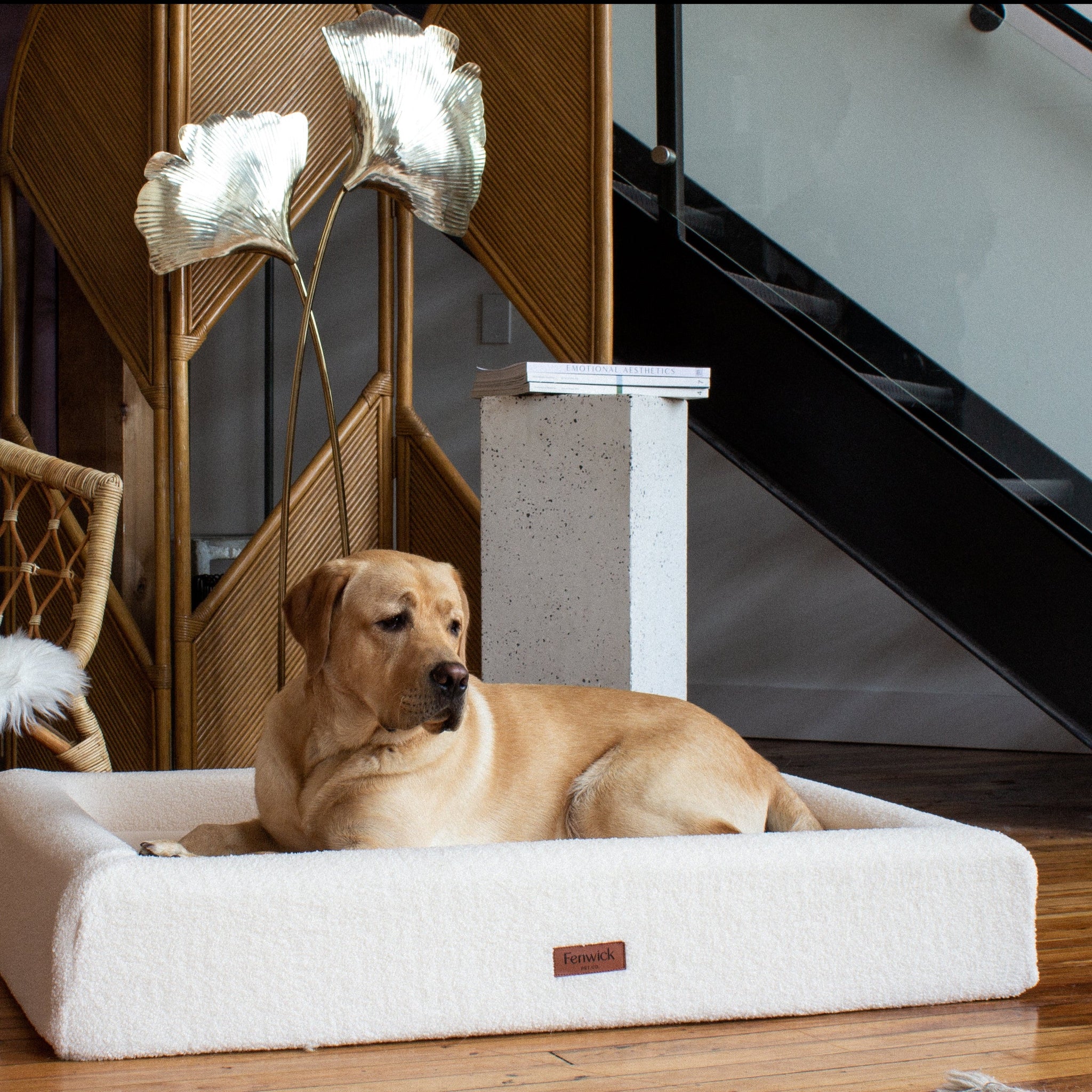 Luxury Orthopaedic Teddy Dog Bed – Ultra Soft & Washable – Fenwick Pet Co.