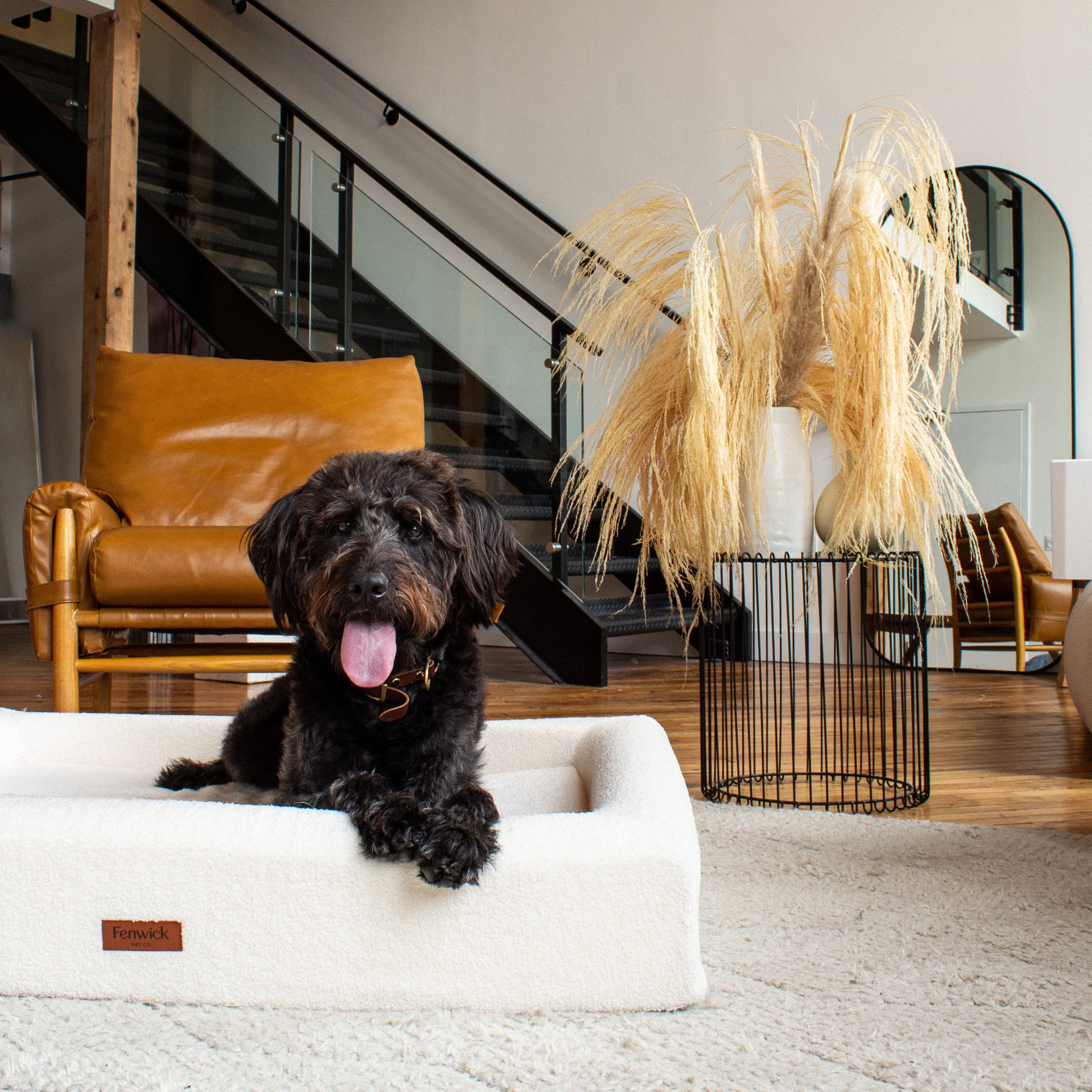Luxury Orthopaedic Teddy Dog Bed – Ultra Soft & Washable – Fenwick Pet Co.