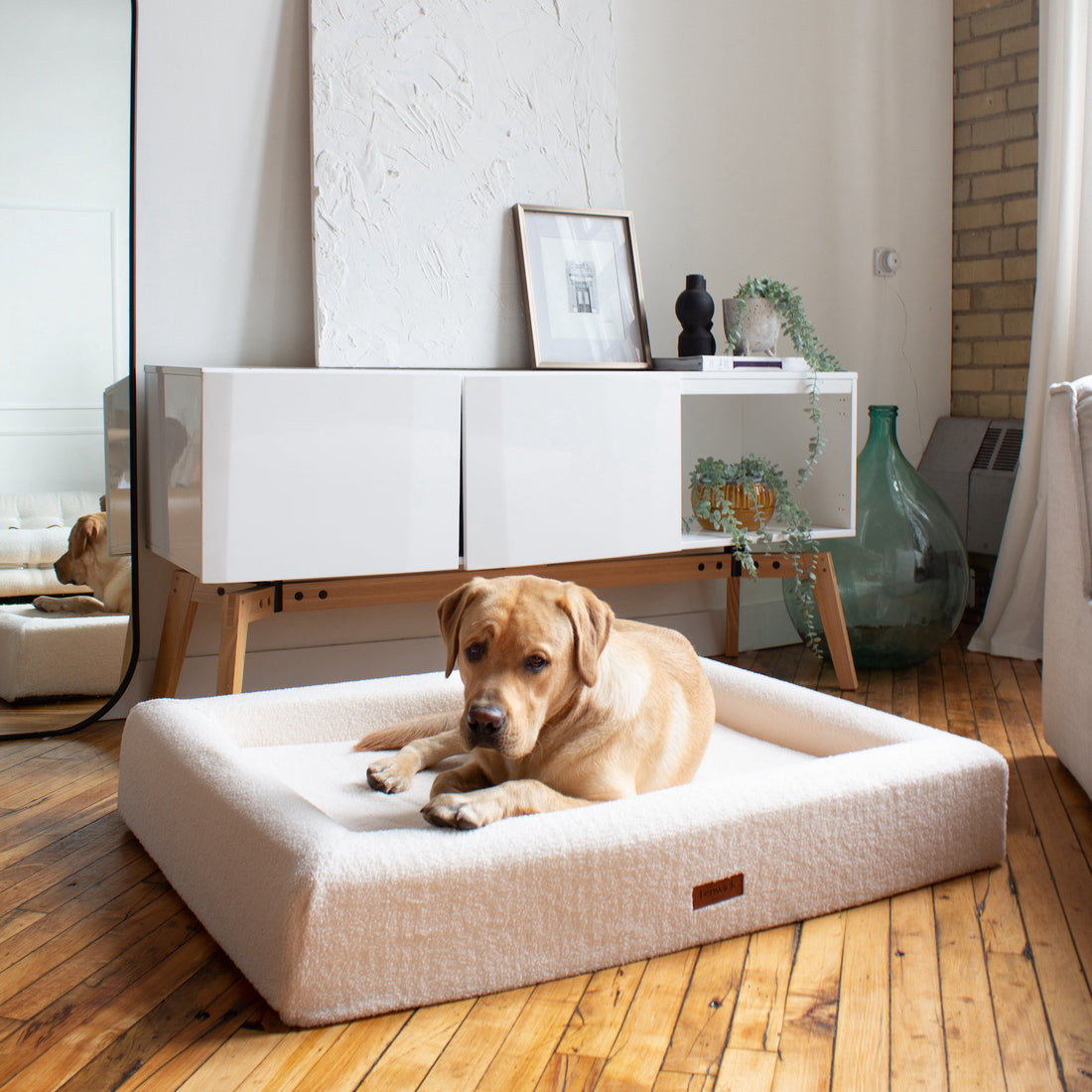 Luxury Orthopaedic Teddy Dog Bed – Ultra Soft & Washable – Fenwick Pet Co.